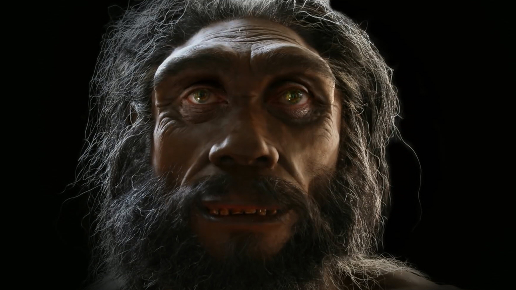 The evolution of the human face isn't pretty - 9Pickle