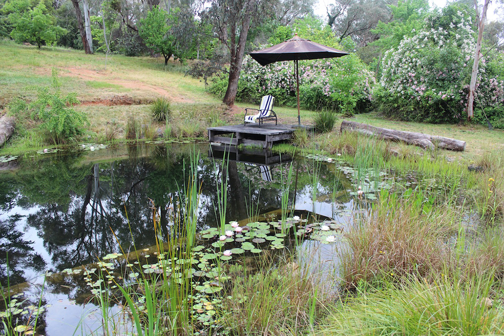 Natural pools are making a come back - 9homes