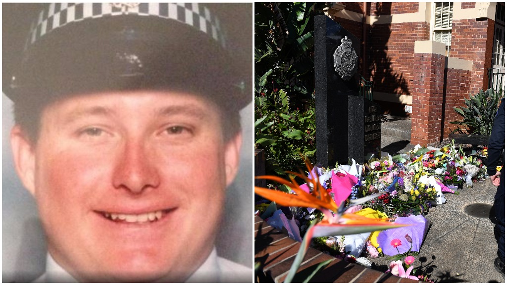 Susan Forte's Instagram, Twitter & Facebook on IDCrawl