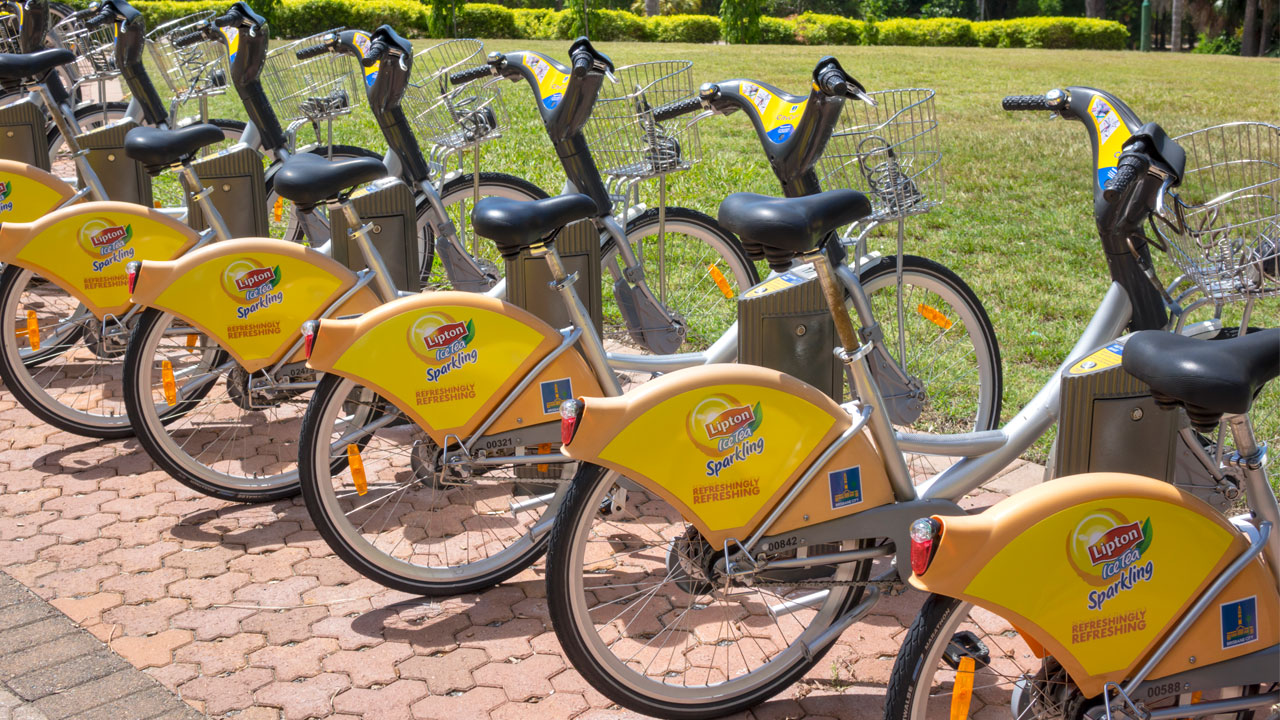 Discover Brisbane with CityCyle - nine.com.au