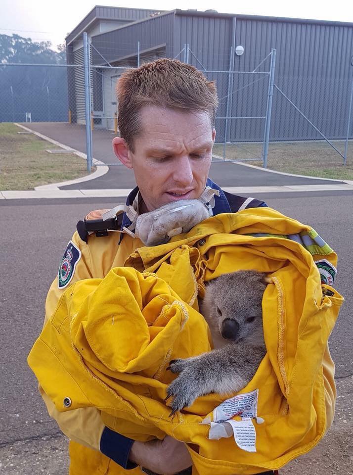 Firefighter With Koala