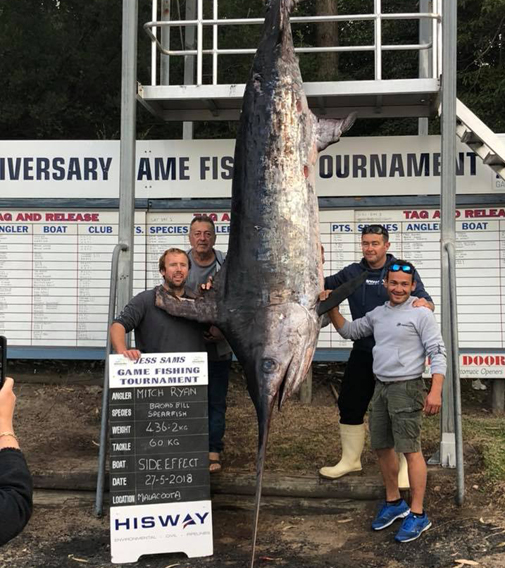 record swordfish caught