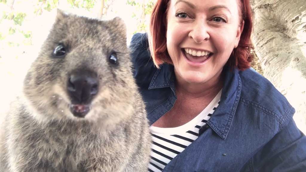 How to get a quokka selfie on Rottnest Island - 9Travel