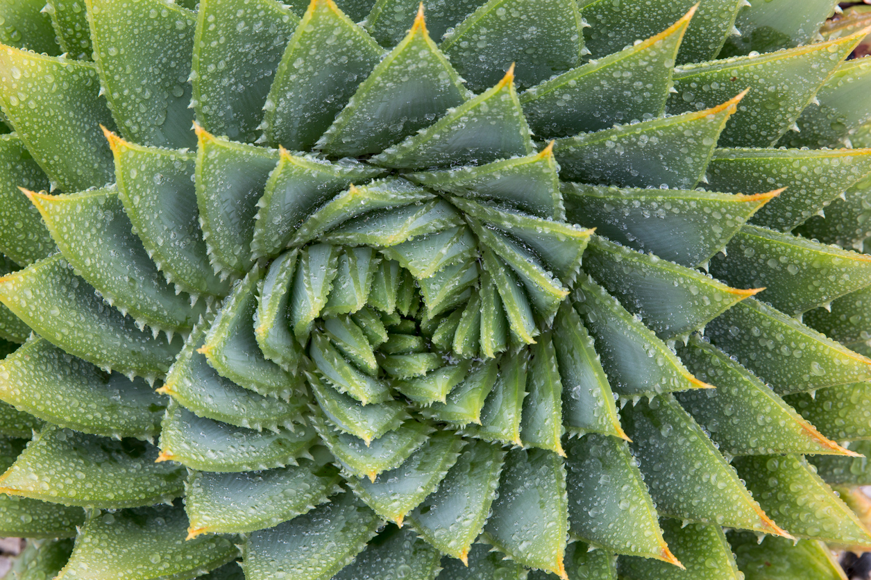 Eight Images Scientifically Proven To Relax Your Brain 9Coach