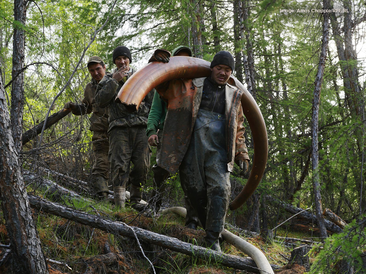 Photographer documents Siberian ‘poachers’ as they hunt mammoth tusks