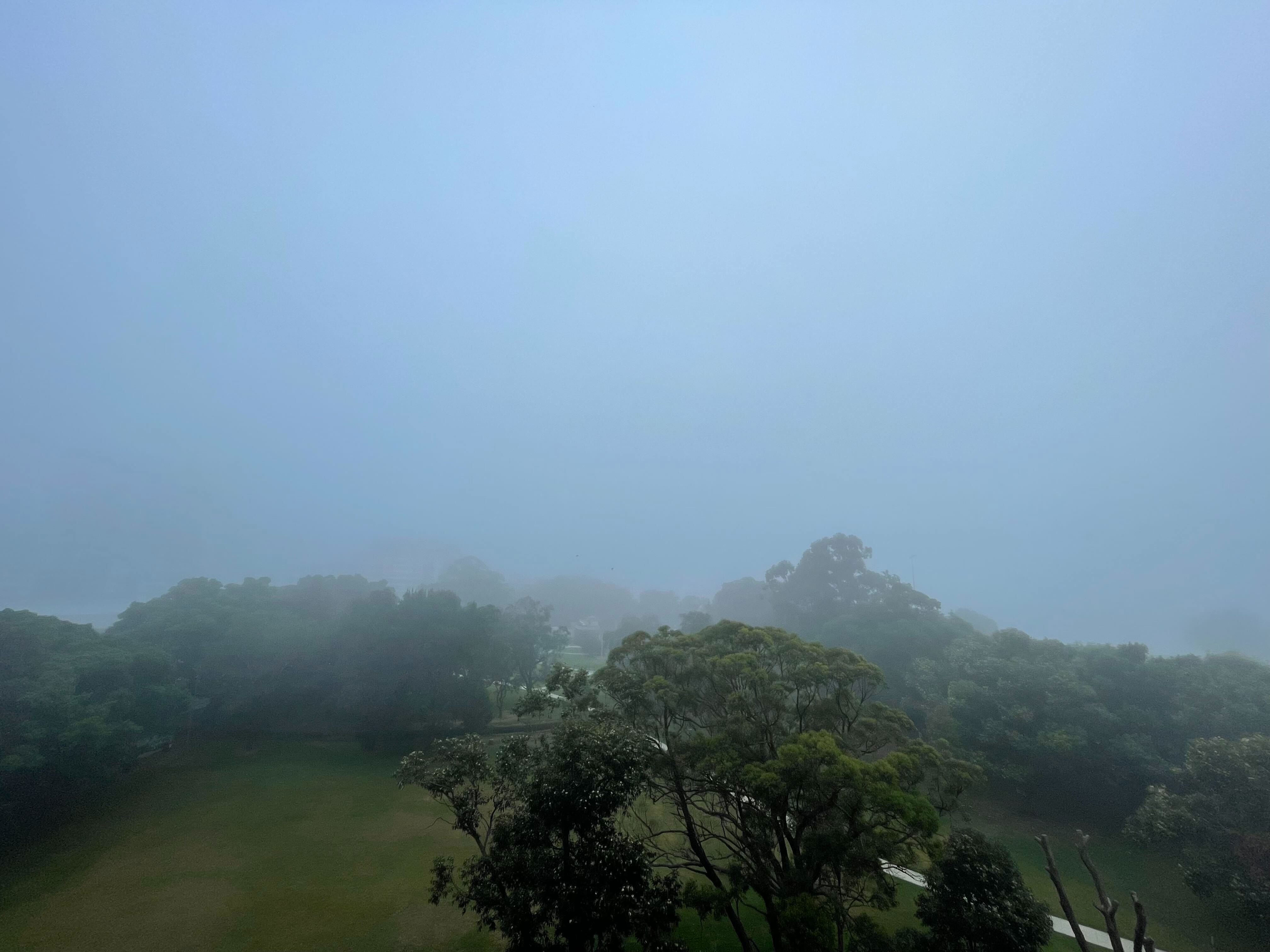 Sydney Ferries Stopped By Thick Fog Blanket