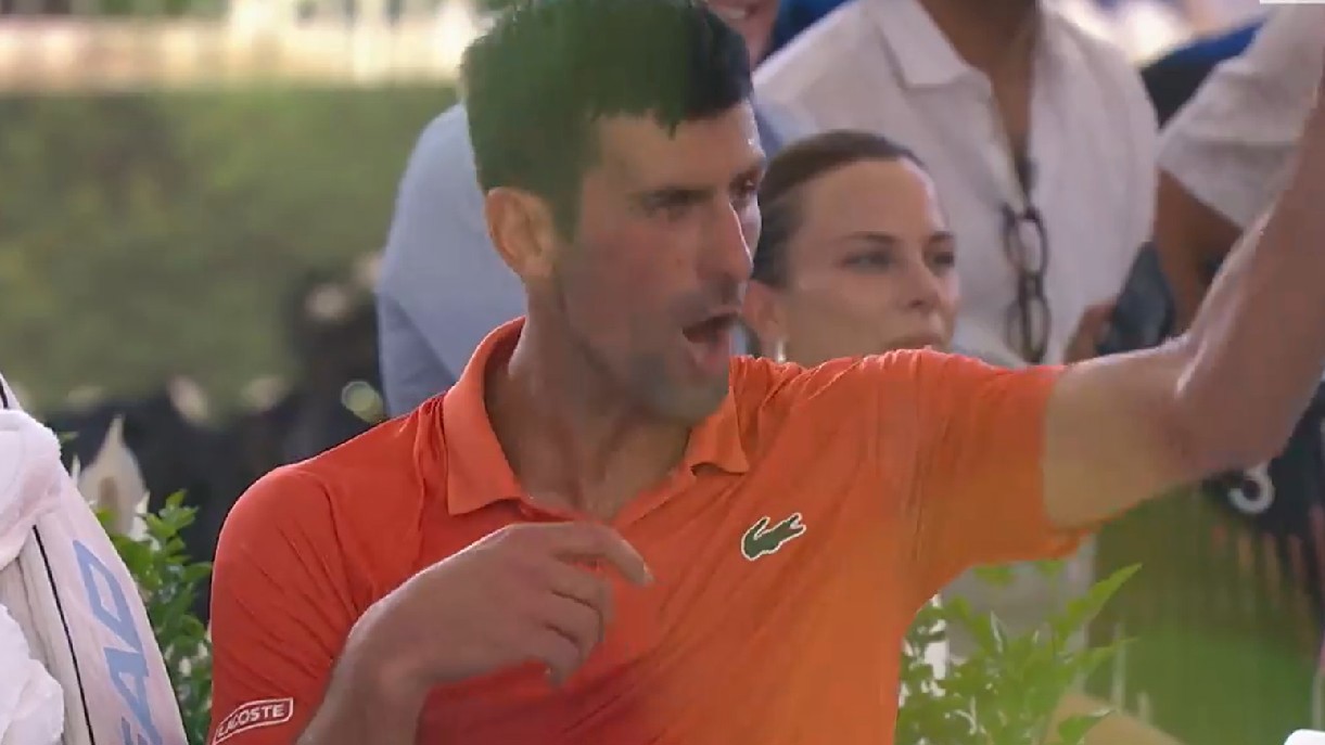 Novak Djokovic orders his brother out of the player's box in ...