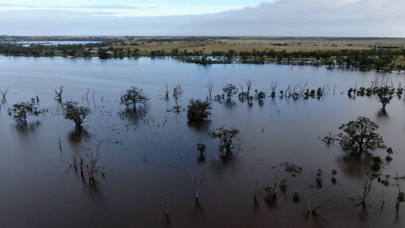 Condobolin's record flood peaks ahead of schedule as more evacuation ...
