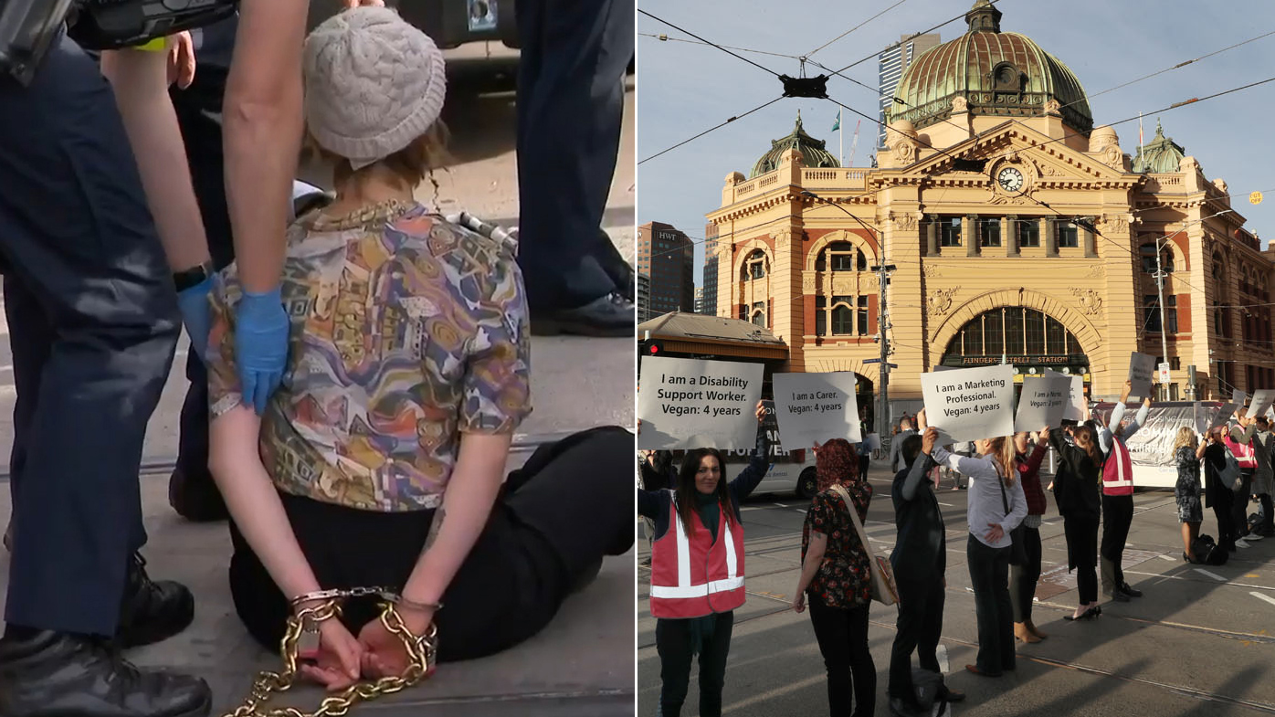 National news: Animal activist group causes chaos with protests across ...