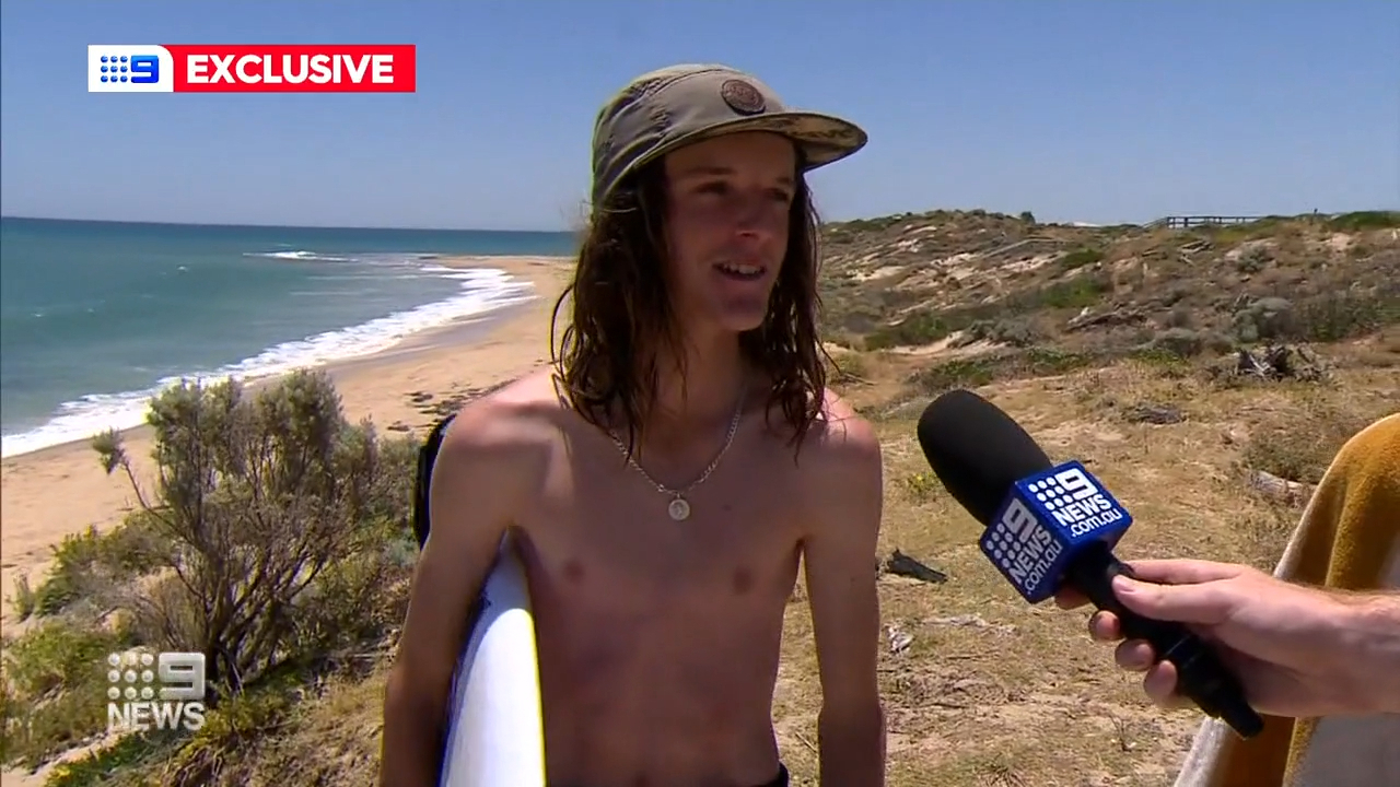 WA teen survives brush with shark at a Mandurah beach – Mingooland