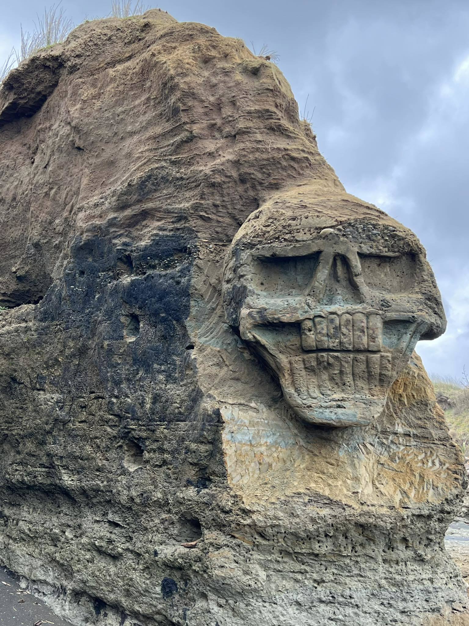 The South Will Rise Again Skull
