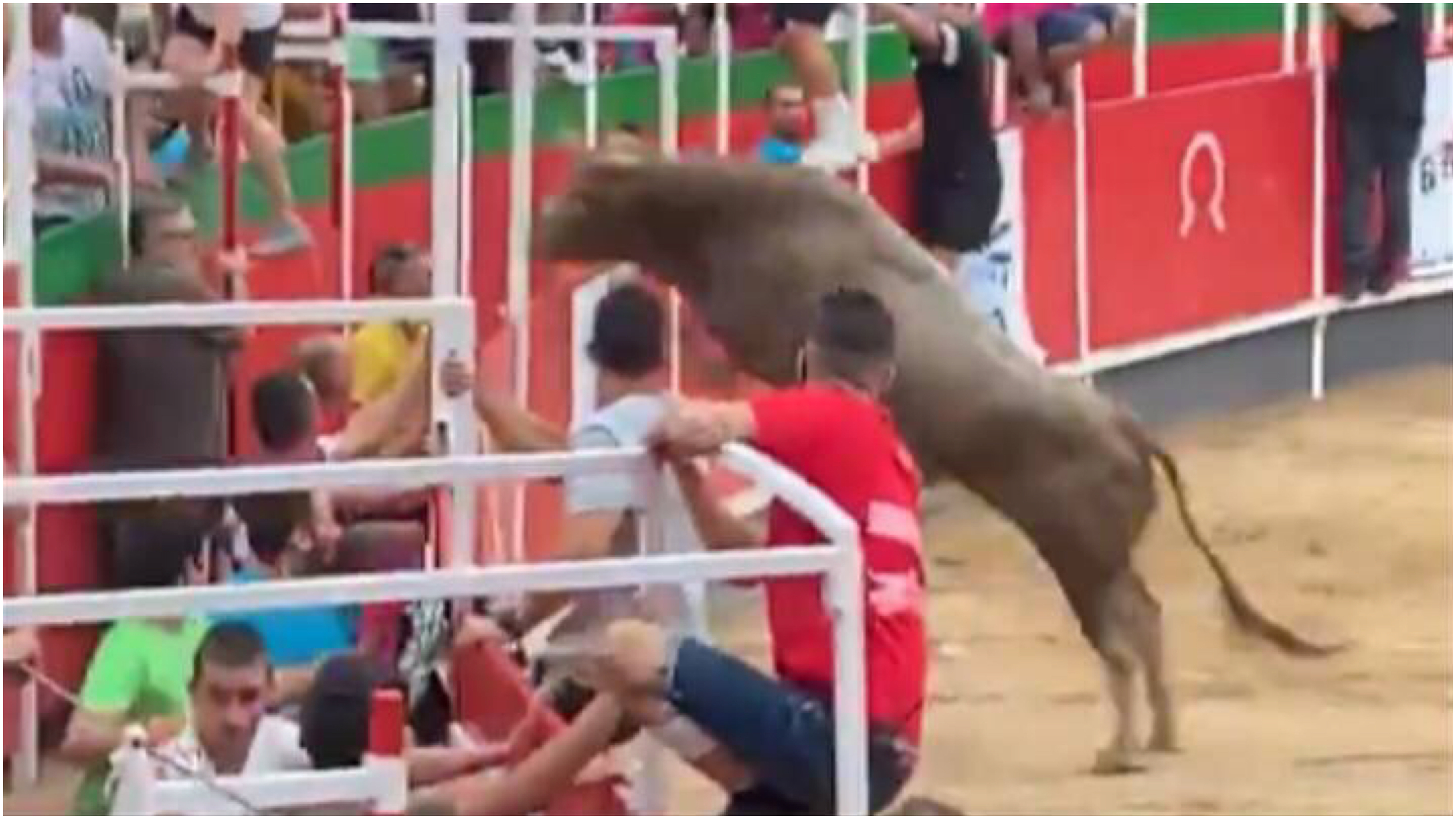 Bull jumps fence and attacks people at Vidreres festival Spain news