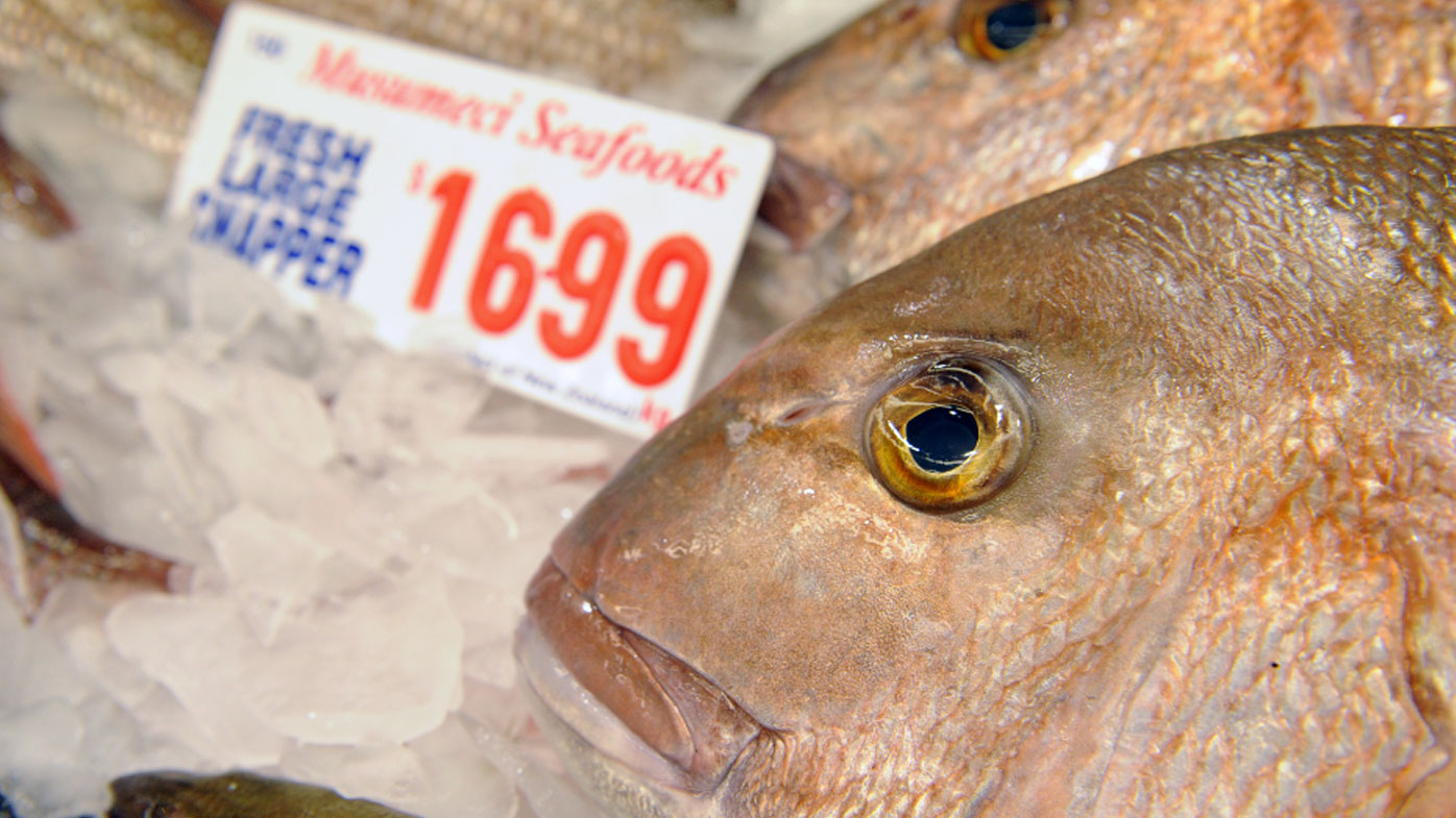 SA news fishing ban for snapper proposal south australian government