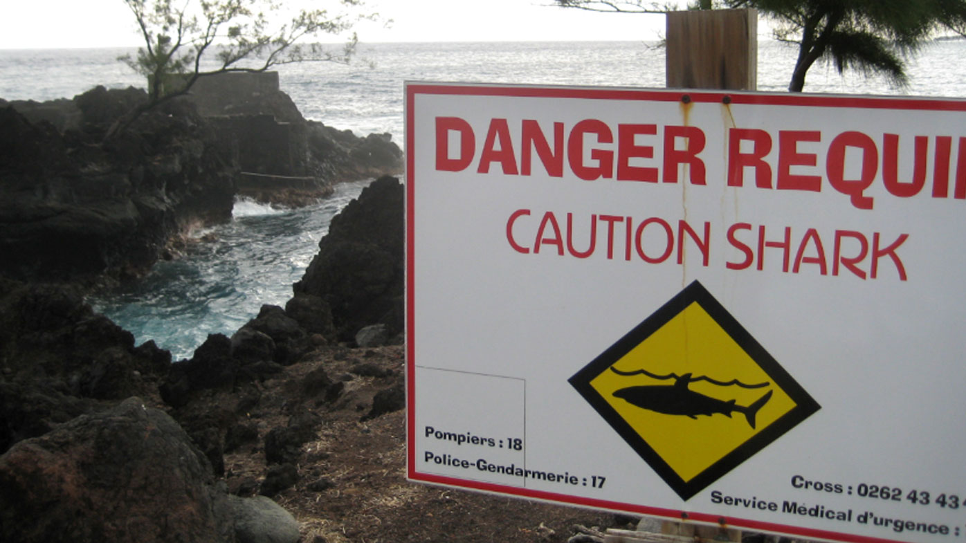 Shark attack: Surfer killed by predator off Reunion Island