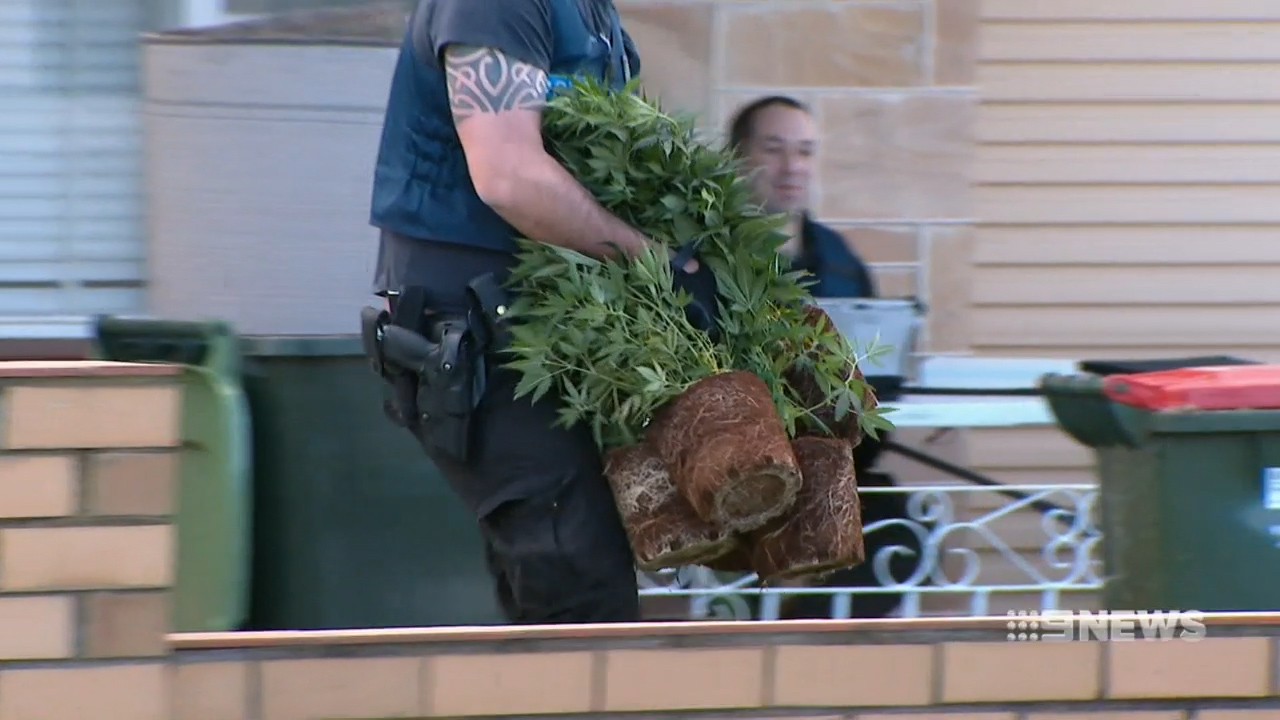 News Adelaide: Marijuana crop discovered after house fire