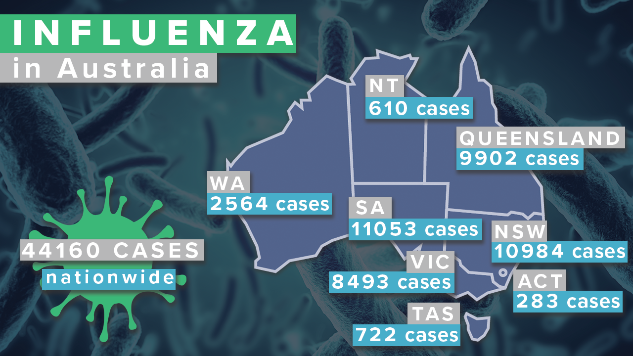 Flu Vaccine: Record numbers of influenza virus cases and deaths - News ...