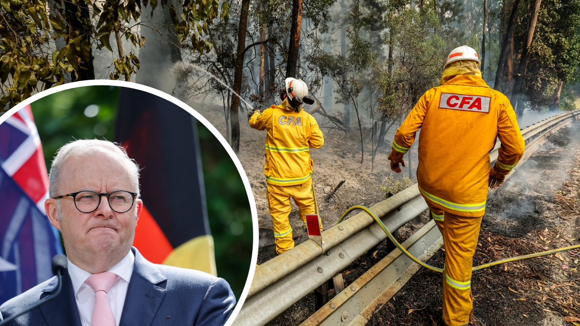 PM, premier announce extra $160m for bushfire-affected communities in ...
