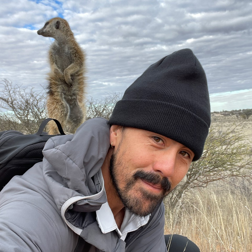 'Barbaric' dingo cull in the wake of Piper James' death 'won't save ...